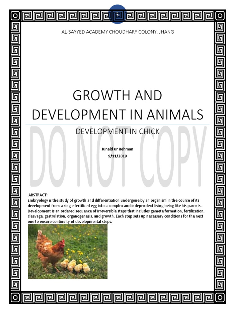 Develpment of Chick 1 PDF | PDF | Developmental Biology | Biological ...