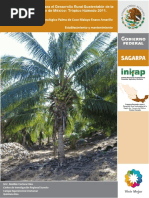 Coco Enano Verde de Brasil: Cultivo y Ventajas | PDF | Raíz | Hoja