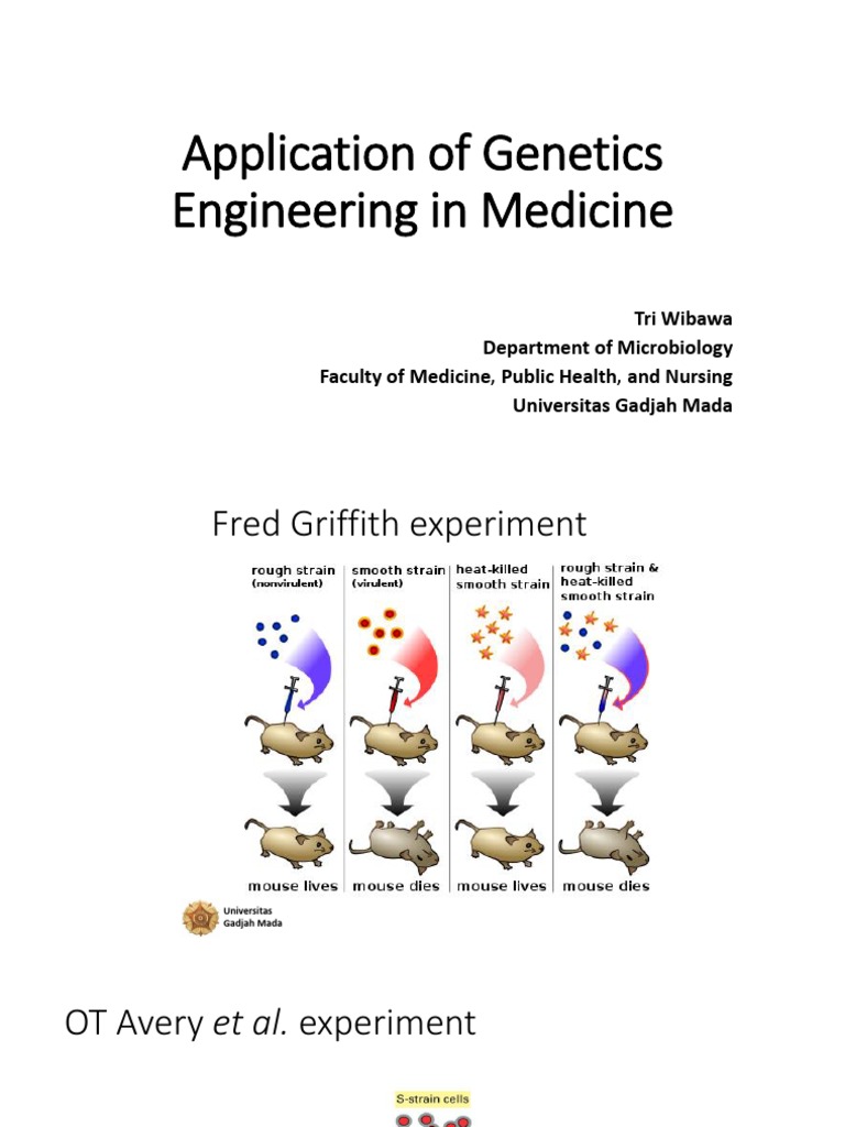 Application of Genetics Enggineering in Medicine | PDF | Recombinant ...