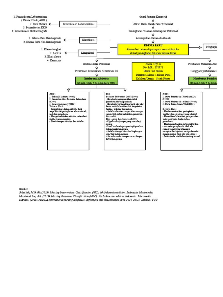 Woc Edema Paru | PDF