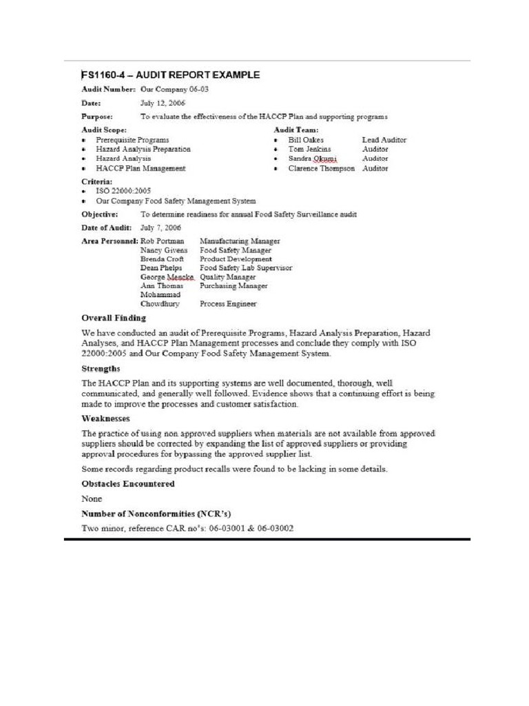 Sample Report Internal Audit | PDF