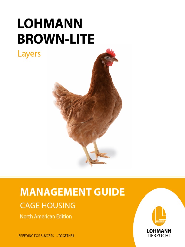 Lohmann Brown-Lite: Management Guide | PDF | Dietary Fiber | Diet ...