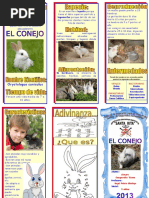 El Ciclo de Vida Del Conejo | PDF