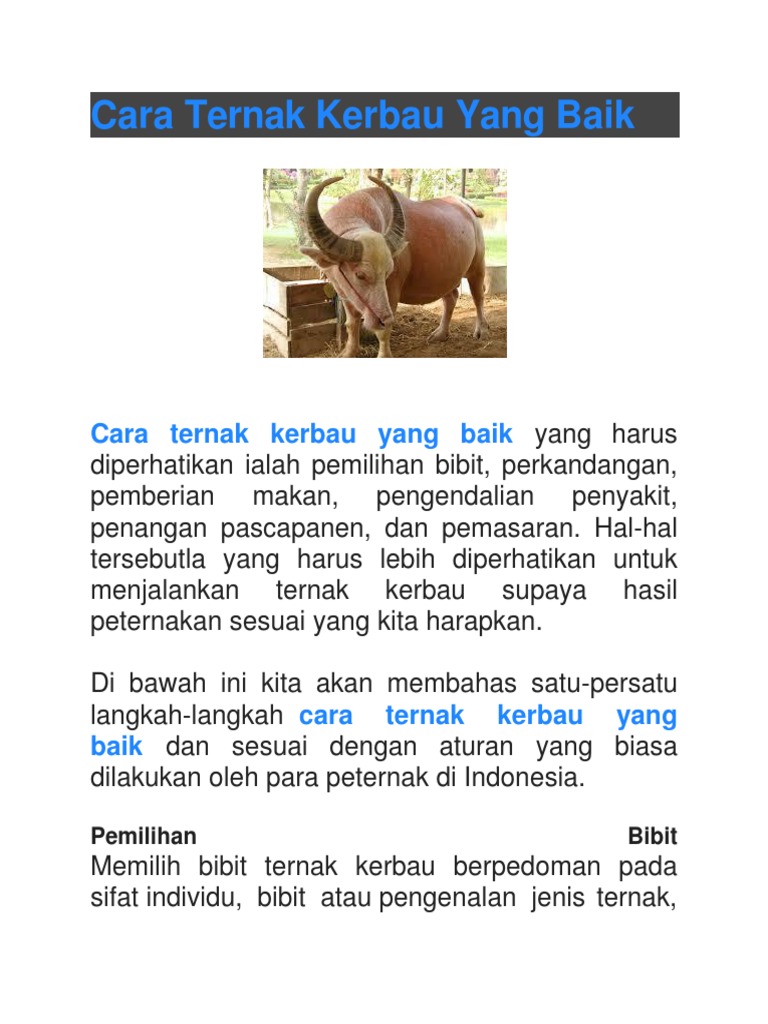 Cara Ternak Kerbau Yang Baik Dikonversi | PDF | Teknologi & Rekayasa