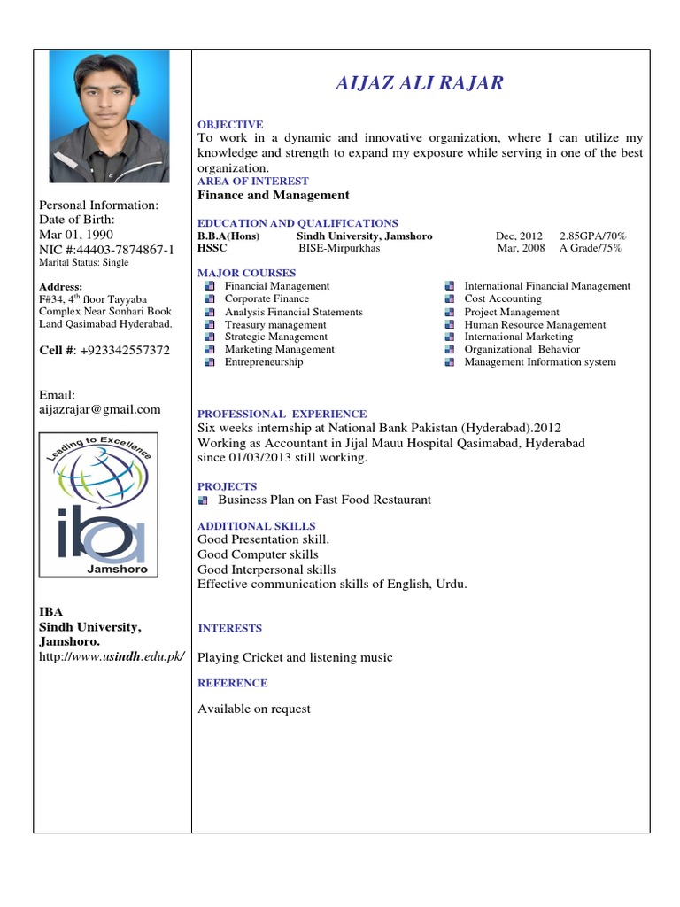 Aijaz Ali Rajar: Finance and Management | PDF