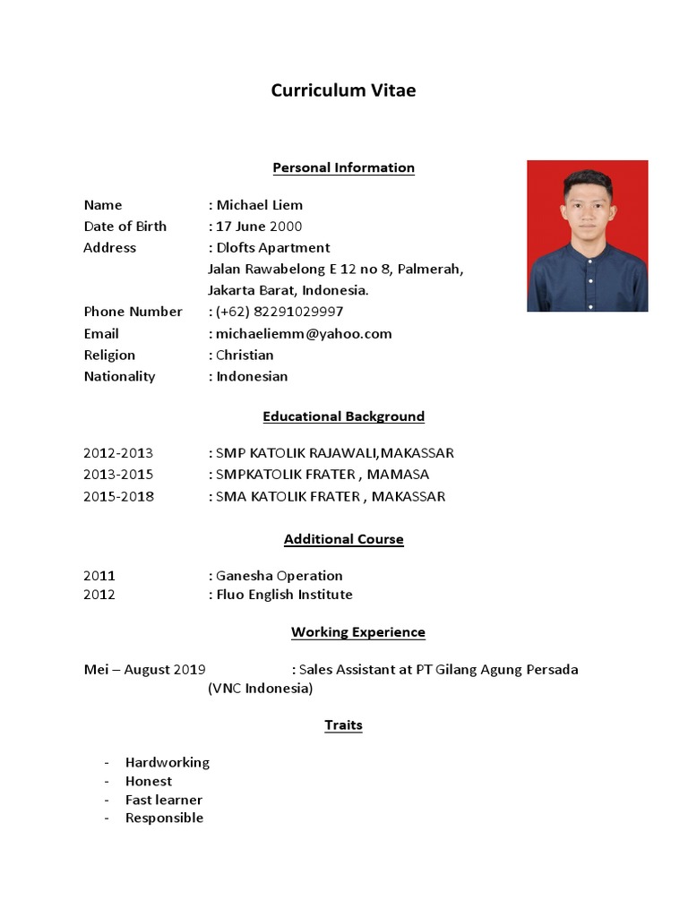 Curriculum Vitae Michael | PDF
