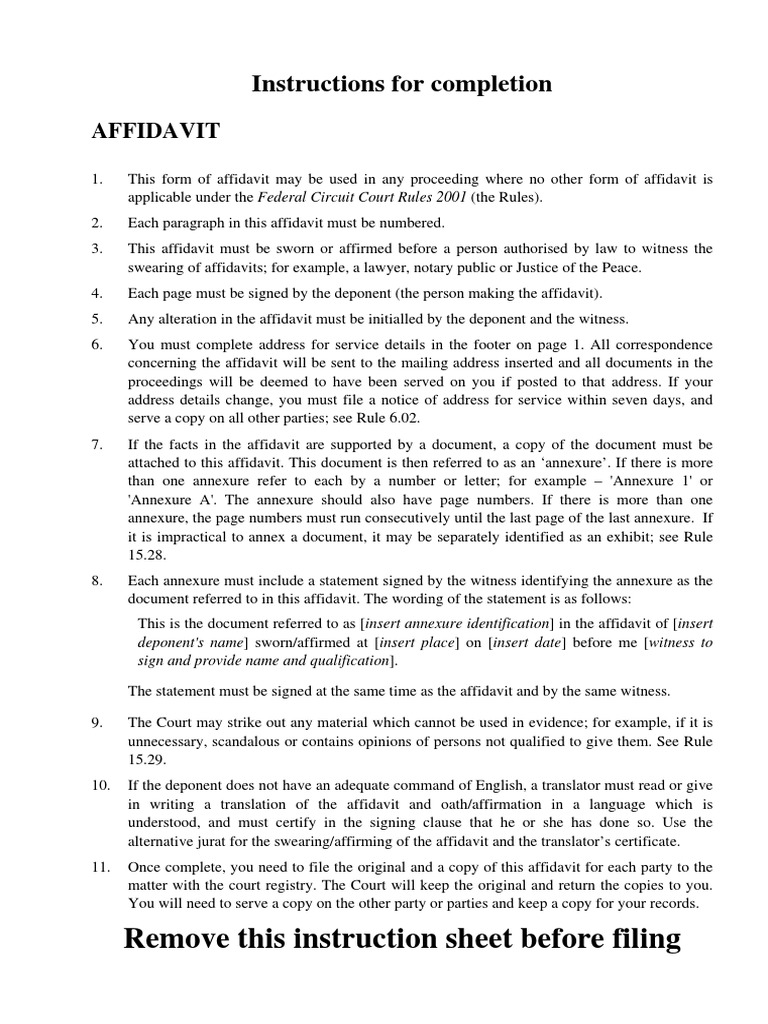 Remove This Instruction Sheet Before Filing: Instructions For Completion | PDF | Affidavit ...