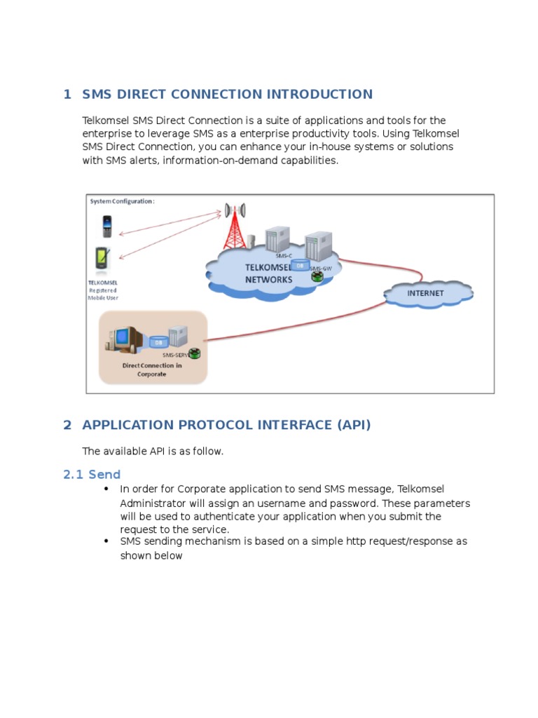SMS Direct Connection API | PDF | Hypertext Transfer Protocol | Application Programming Interface