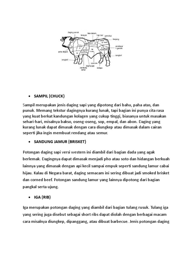 Bagian Bagian Daging Sapi | PDF | Griya & Taman | Kesehatan Holistik