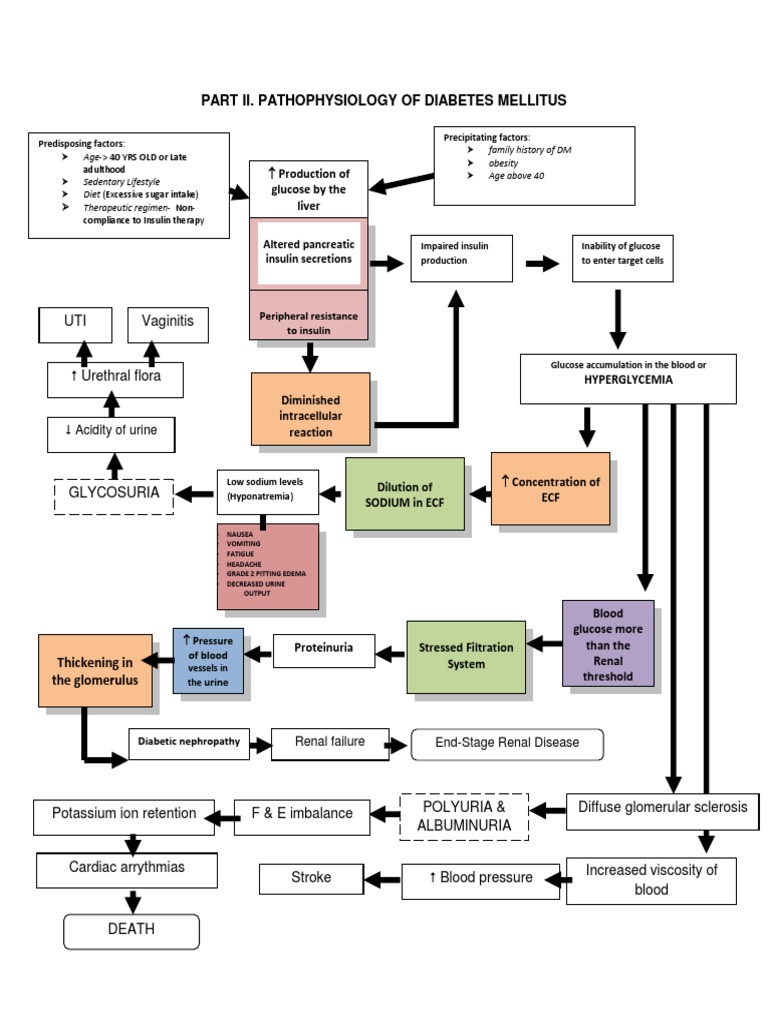 For Printing Pathophysiology DM | PDF | Diabetes Mellitus | Medical ...