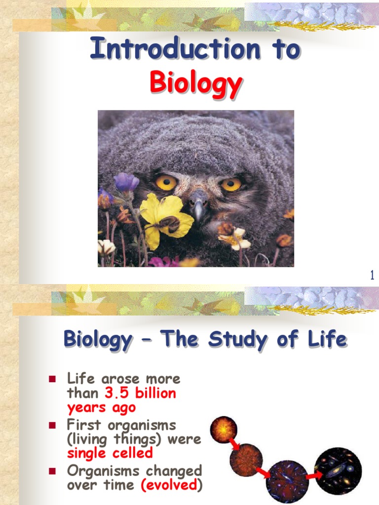 Introduction To Biology | PDF | Cell (Biology) | Organisms