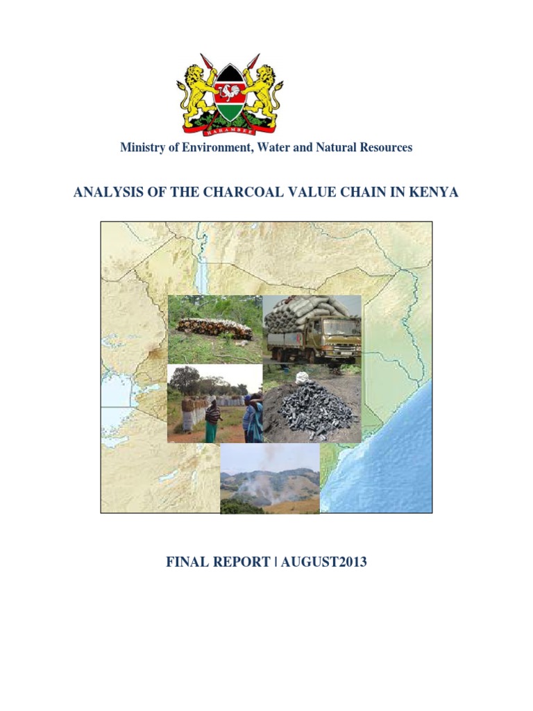Charcoal Value Chain Analysis | PDF | Reducing Emissions From ...