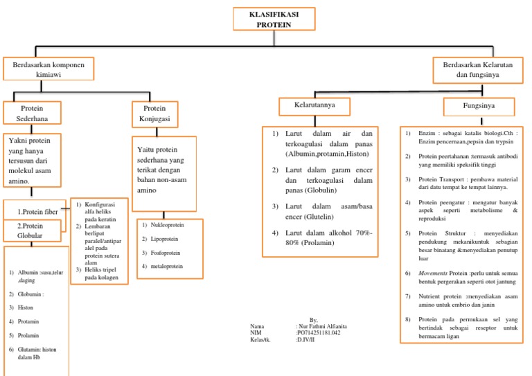 Bagan Klasifikasi Protein Nur Fathmi | PDF