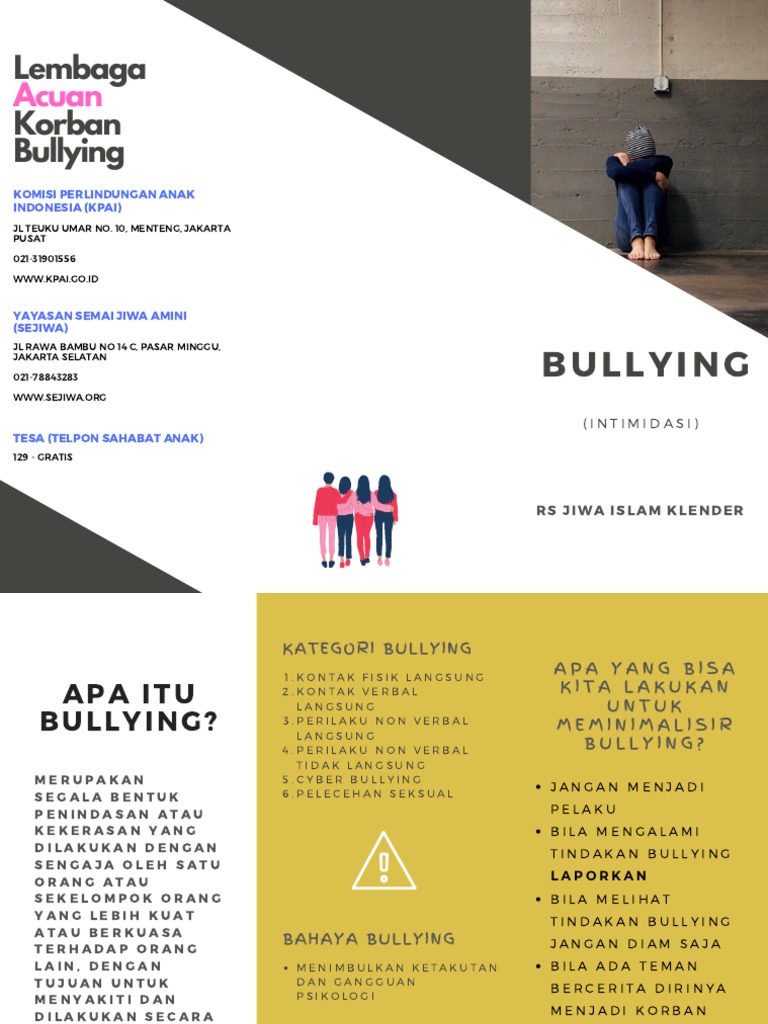 Bullying Leaflet | PDF