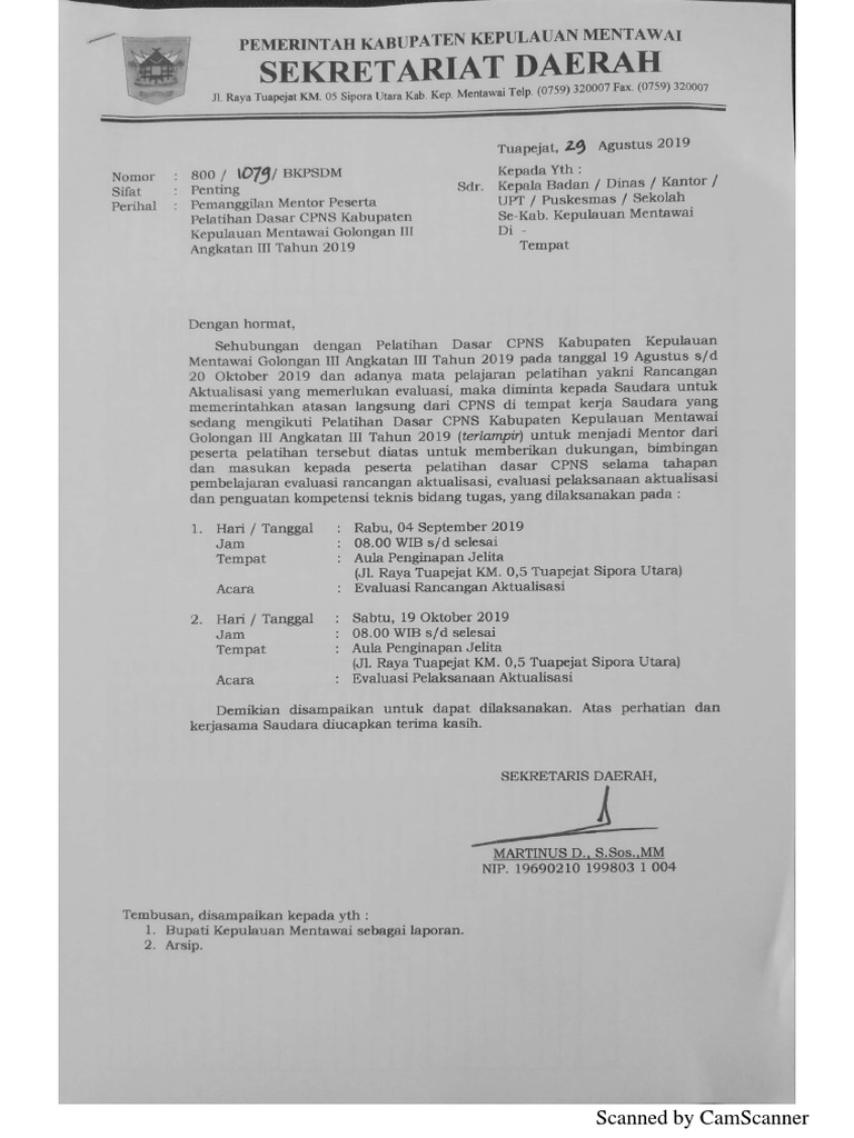 Surat P Mentor III | PDF