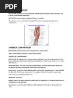 Rikli and Jones Test | PDF | Anatomical Terms Of Motion | Chair