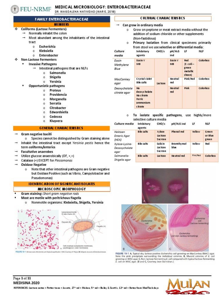 (Microbio) Enterobacteriaceae-Dr. Natividad (Mulan) | Download Free PDF ...