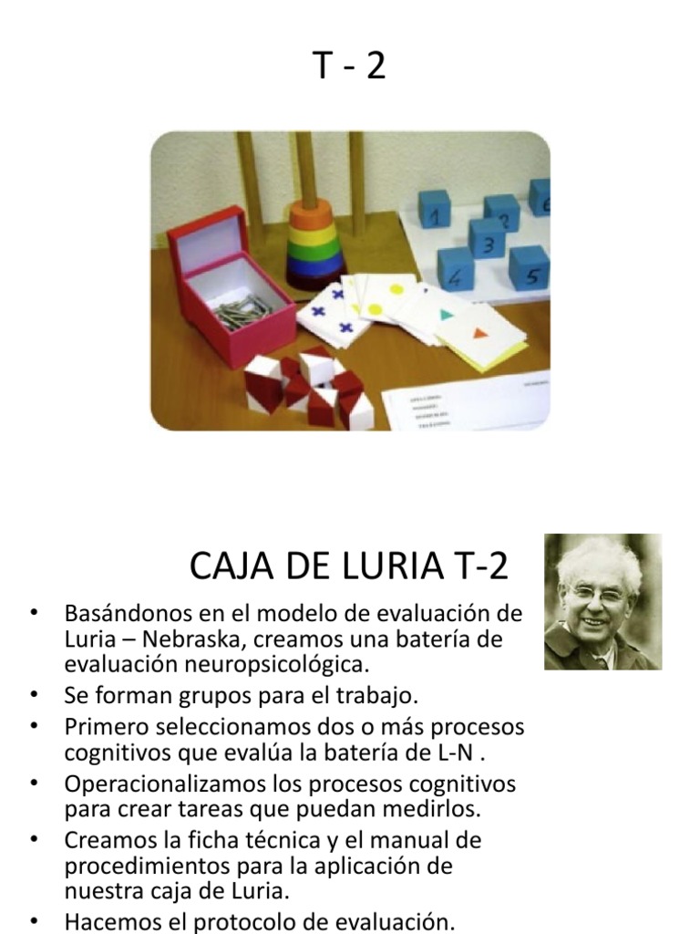 Caja de Luria T-2 | PDF