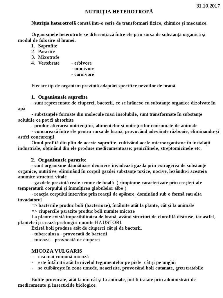 Nutritia Heterotrofa | PDF
