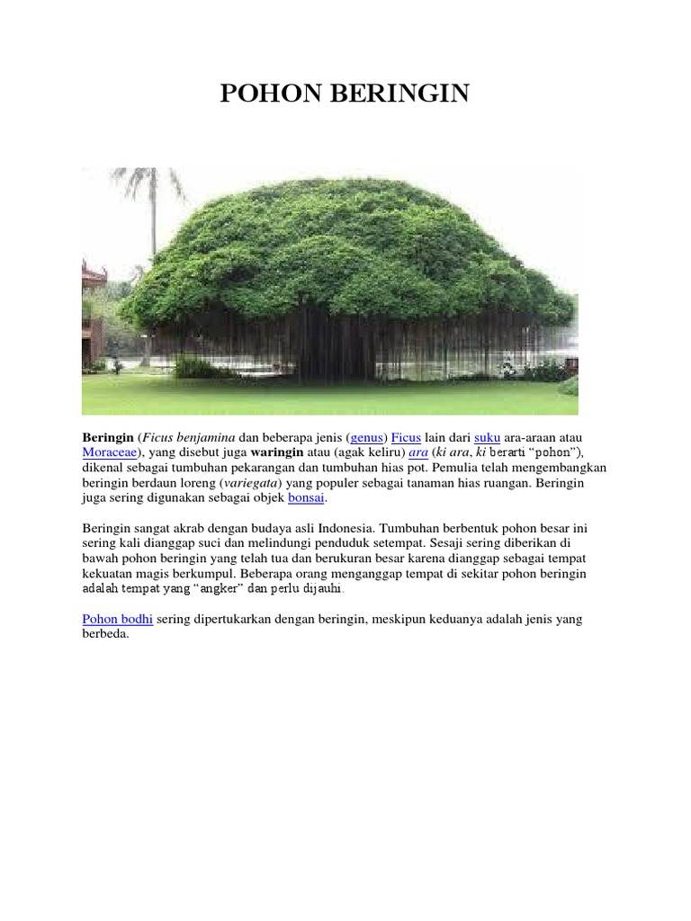 Pohon Beringin | PDF