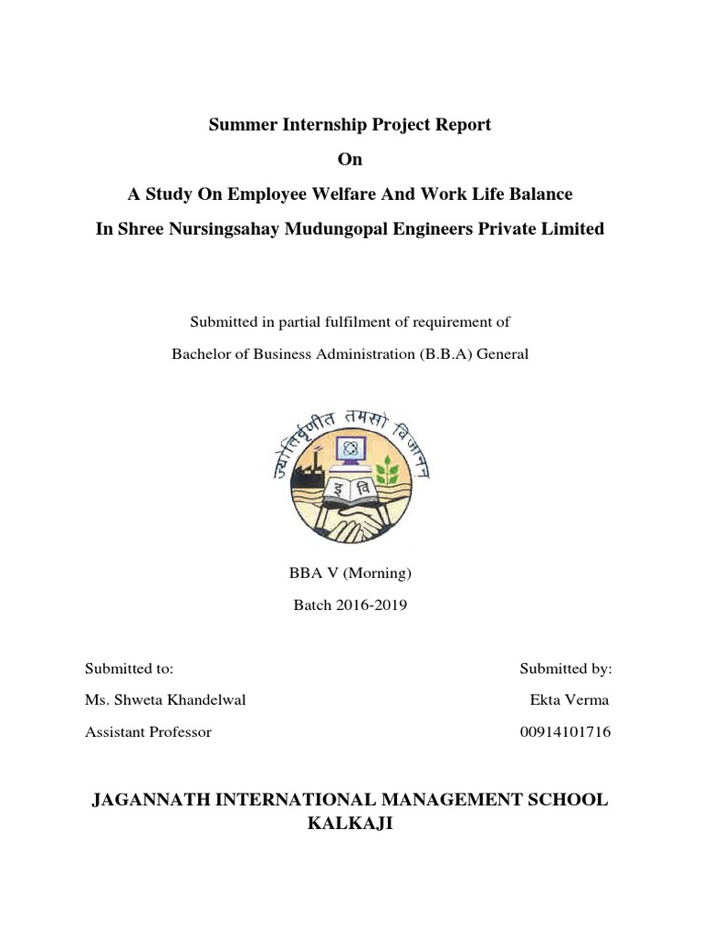 Summer Internship Project Report | PDF | Work–Life Balance | Employment
