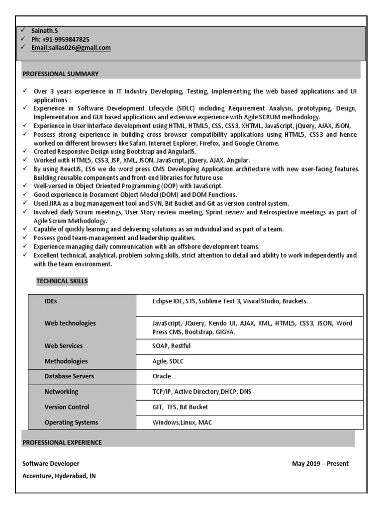 Professional Summary | PDF | Java Script | J Query