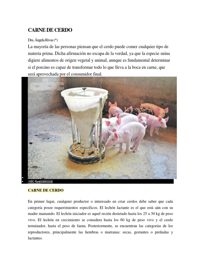 Carne de Cerdo | PDF | Carne | Cerdo doméstico
