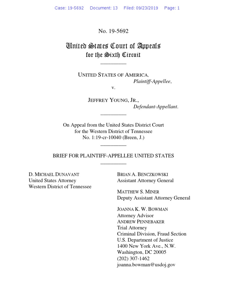 Appellee Brief, Sixth Circuit, Jeffrey W. Young Case | PDF | Burden Of ...
