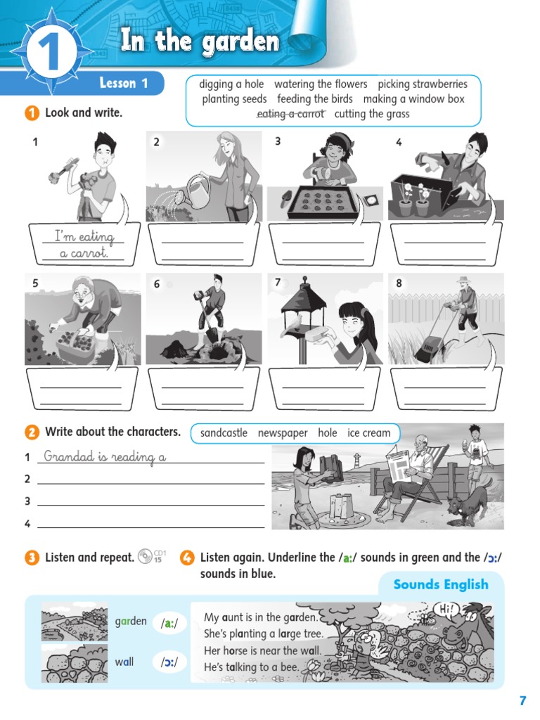 ActivityBook Great Explorers 6 PDF | PDF | Trees | Seed