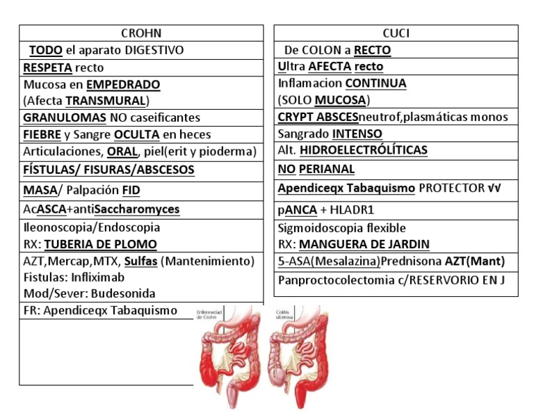 Diferencias entre Crohn y CUCI | PDF