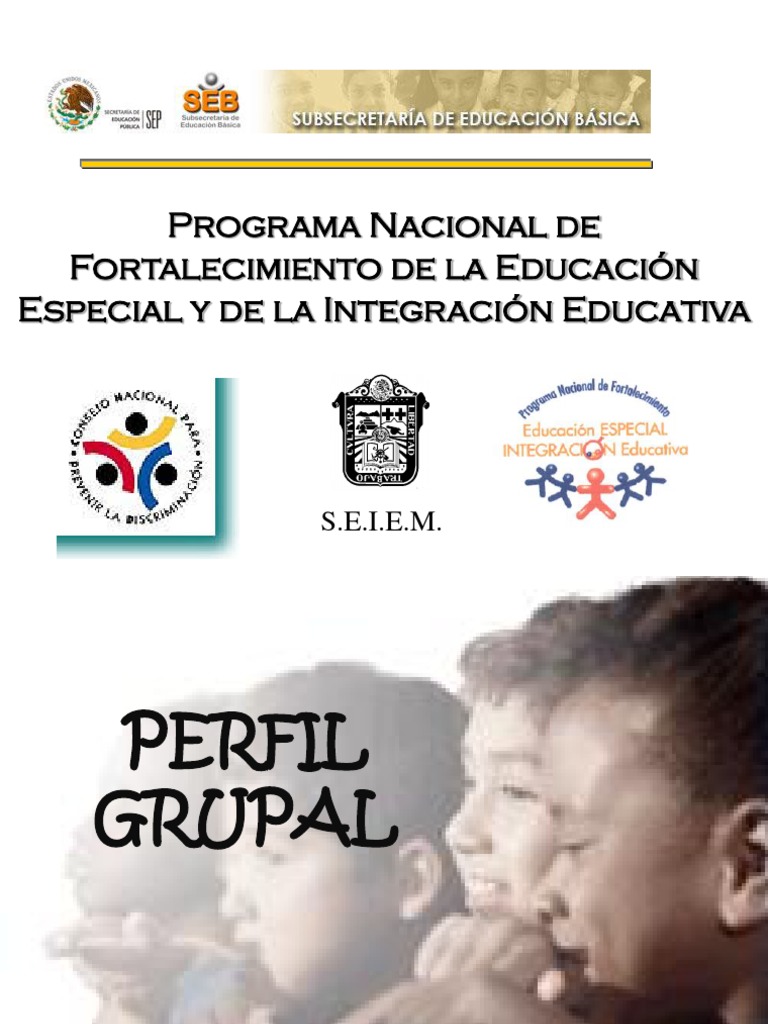 Perfil Grupal | PDF | Aprendizaje | Educación primaria