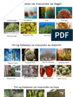 Pisofi Basic Connection - Orange Pi One | PDF | Usb | Computing