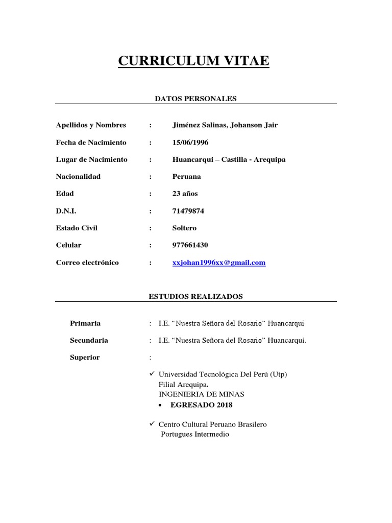 CV Documentado 2019 | PDF