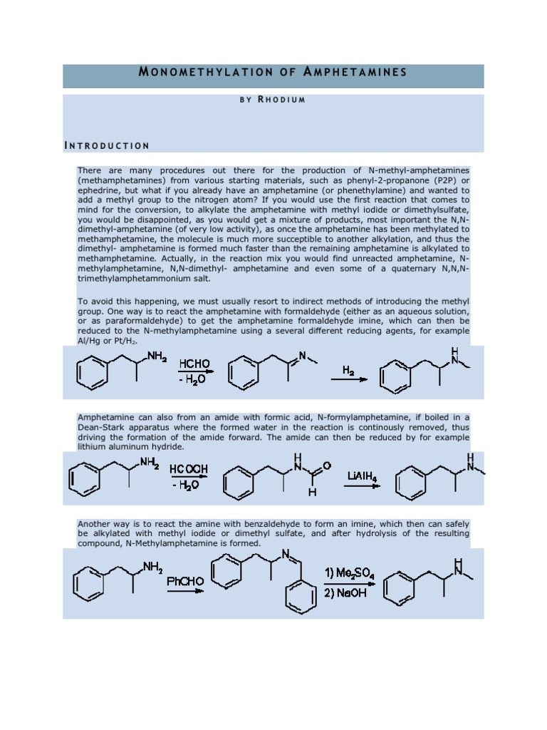 Mono Methyl at Ion | PDF | Amine | Aldehyde