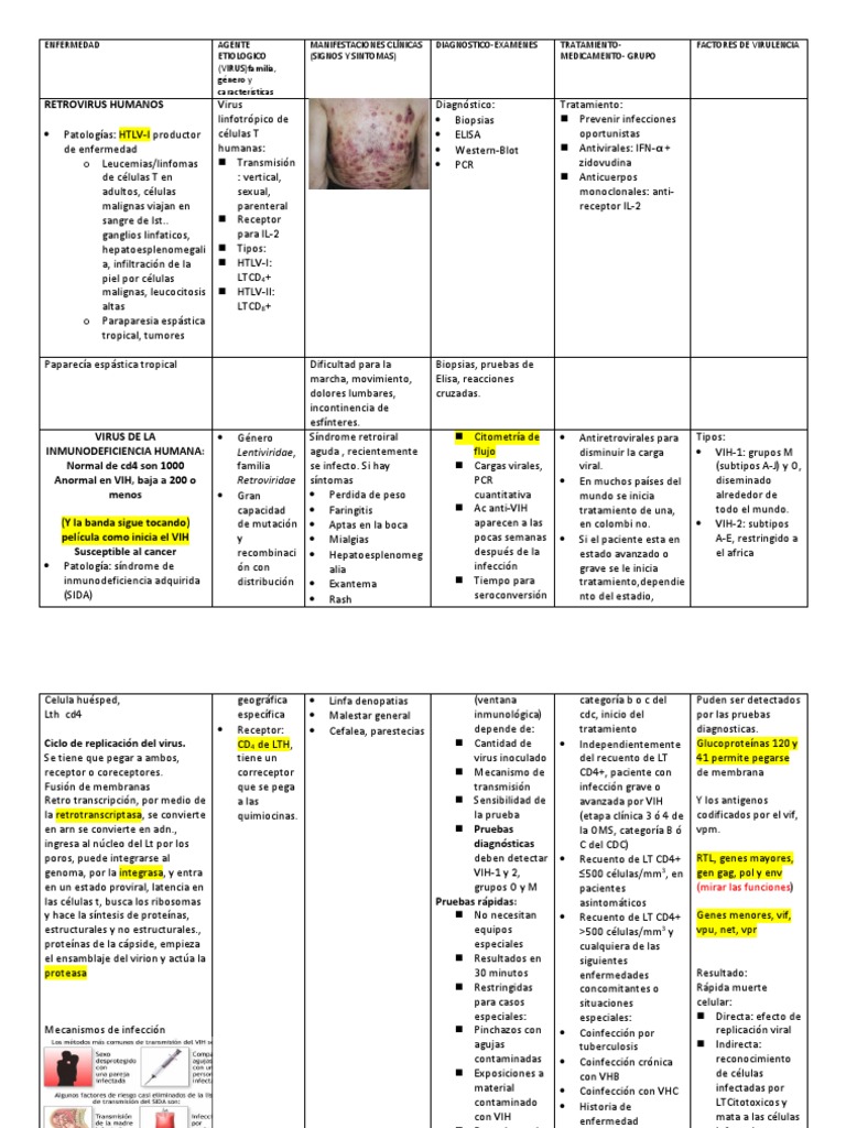 Infecciones Por Retrovirus | PDF | VIH | Retrovirus