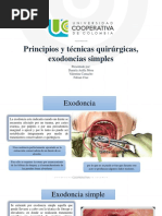 SOAP Medicina (Ejemplo, Significado y Formato) | PDF | Presión ...