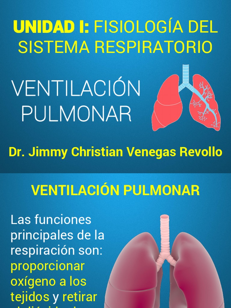Ventilacion Pulmonar PDF | PDF | Sistema respiratorio | Pulmón