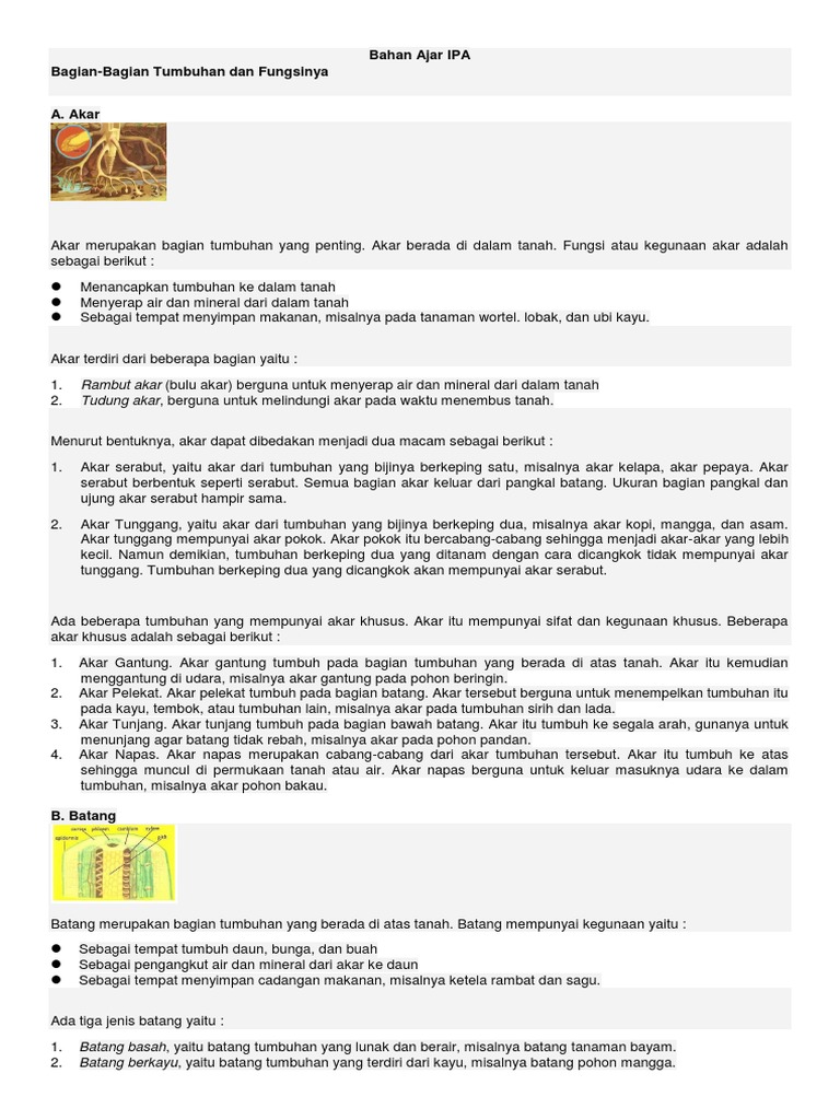 Mind Mapping Ipa | PDF
