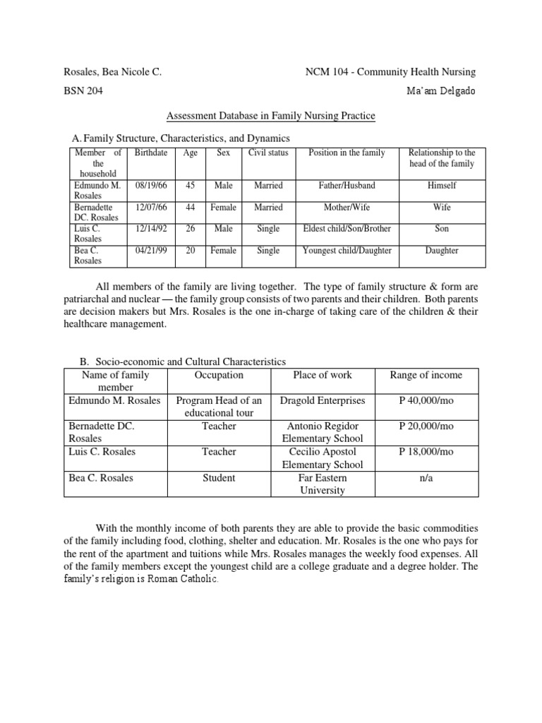 Initial Data Base For Family Nursing Practice | PDF | Bathroom | Health ...