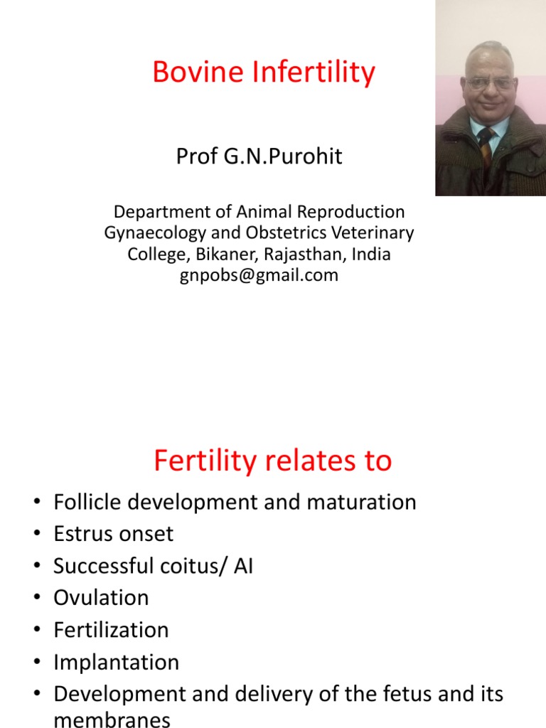 Bovine Infertility: Causes and Treatments | PDF | Infertility | Ovary