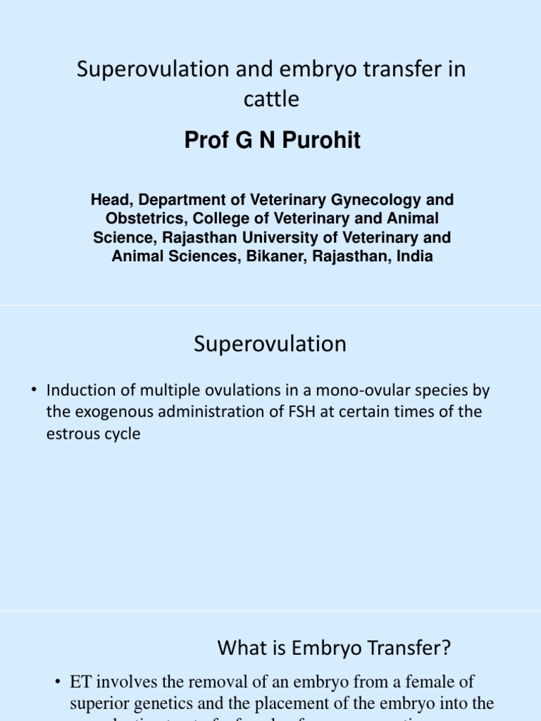 Superovulation and Embryo Transfer in Cattle: Prof G N Purohit | PDF ...