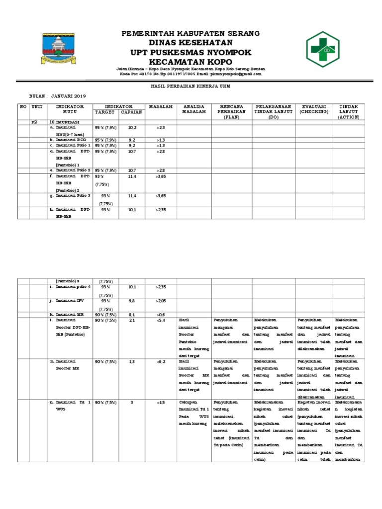 PDCA Imunisasi 2019 | PDF