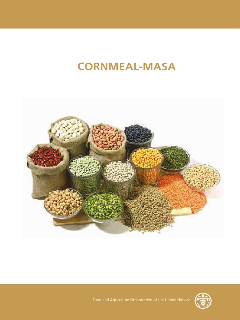 Cornmeal-Masa Processing Guide | PDF | Mill (Grinding) | Foods