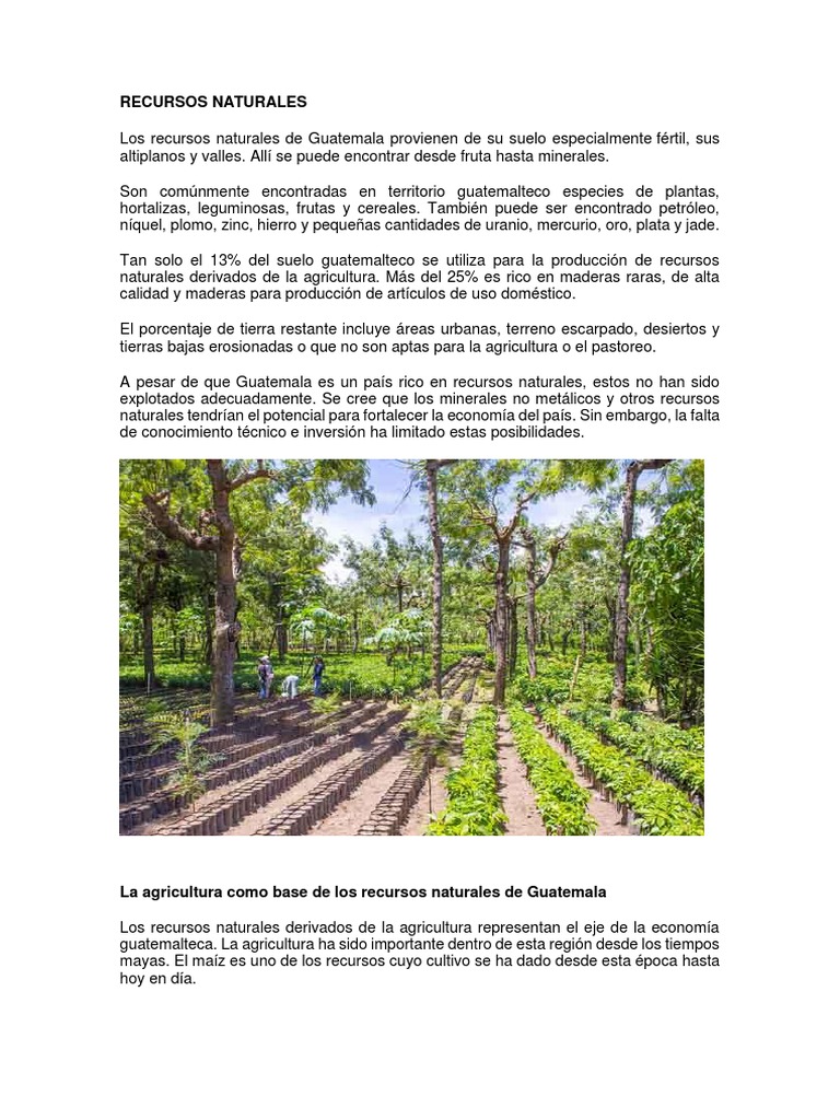 Recursos Naturales | PDF | Guatemala | Agricultura