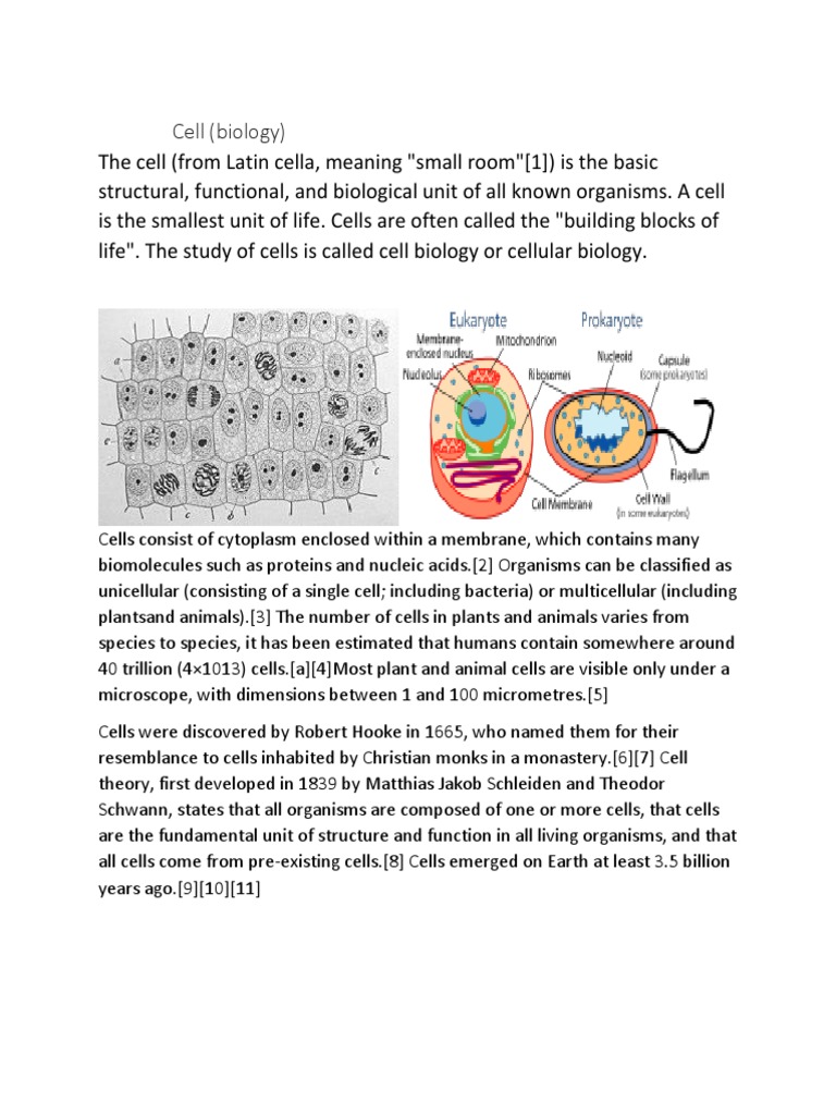 Cell (Biology) | PDF | Cell (Biology) | Eukaryotes