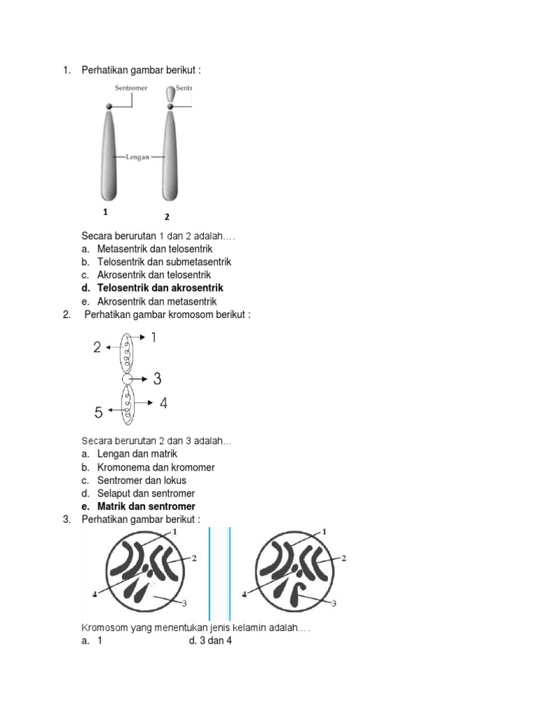Soal Substansi Genetika | PDF | Sains & Matematika