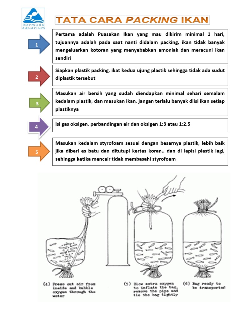Tata Cara Packing Ikan | PDF