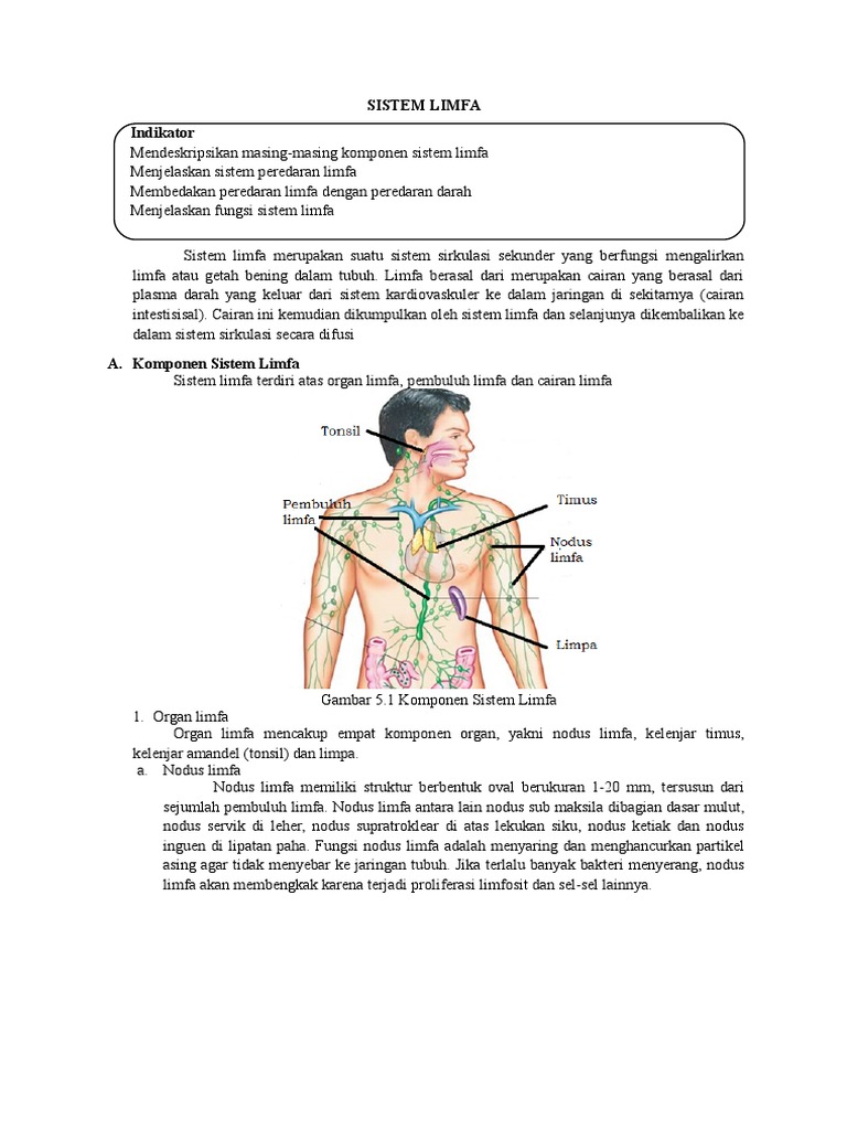 Bahan Ajar Sistem Limfa | PDF