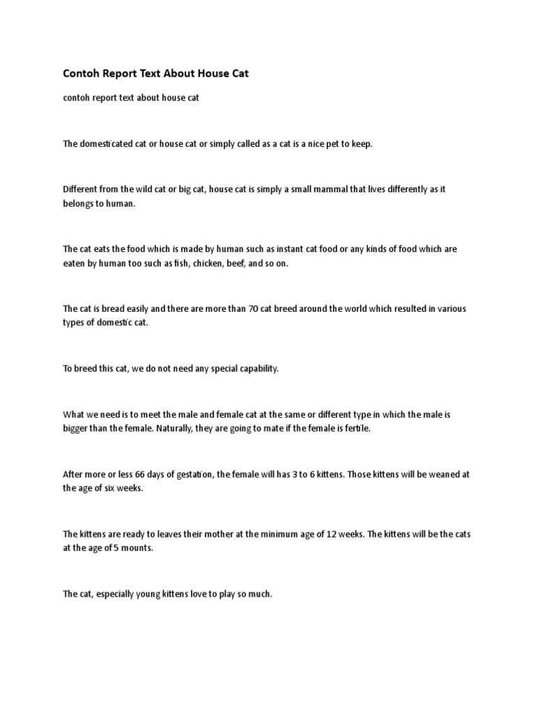 Contoh Factual Report | PDF | Kitten | Cats