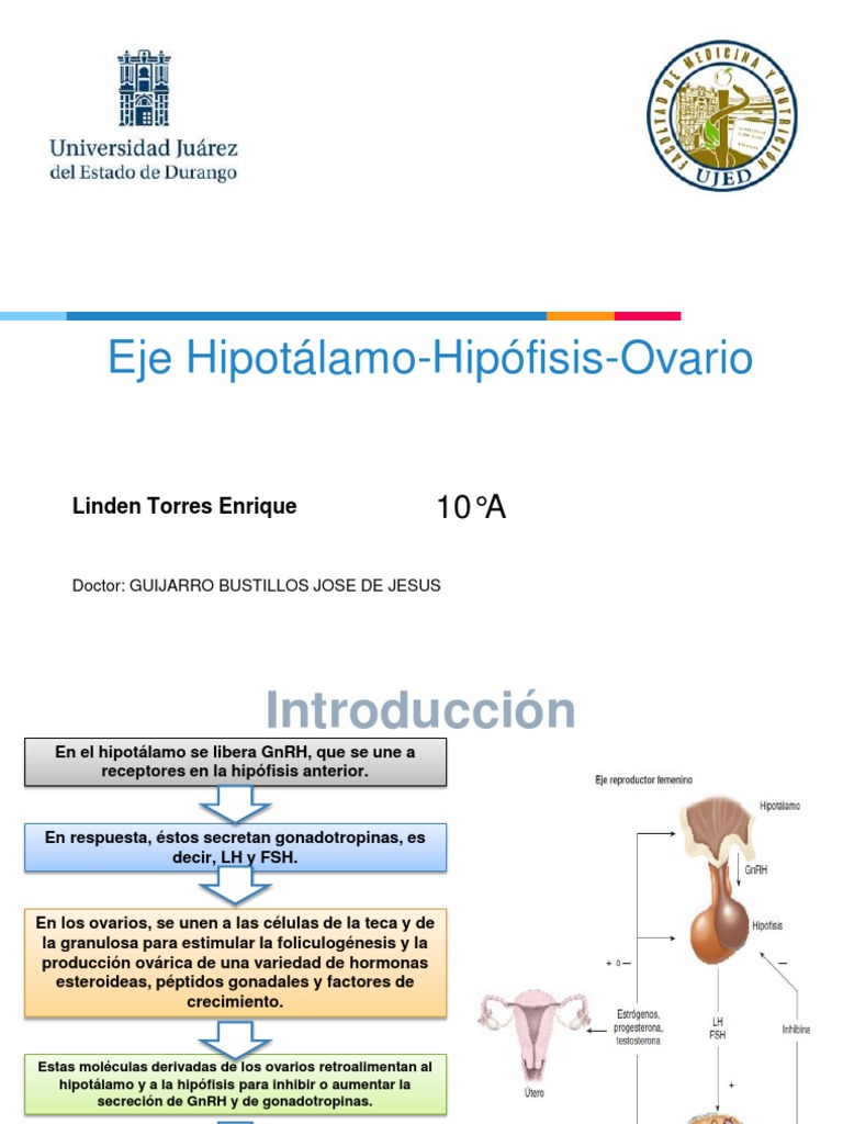 Fisiología del Eje Hipotálamo-Hipófisis-Ovario | PDF | Hormona ...